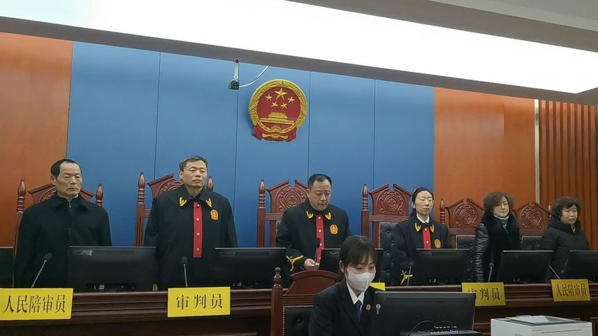 补栽树木、公开道歉!这起案件在济南公开审理,男子滥伐黄河沿岸林木...