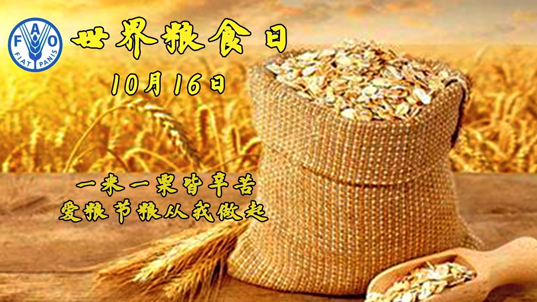 第40个世界粮食日:齐成长、同繁荣、共持续,行动造就未来