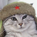 肉蛋儿有个喵meow 