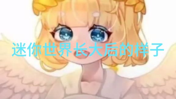 迷你世界人物长大后的样子