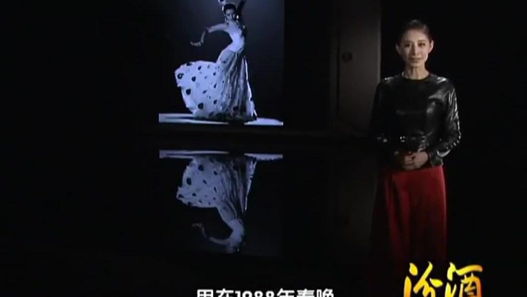 档案 春晚幕后系列之杨丽萍把孔雀炼成灵魂的女人(2)