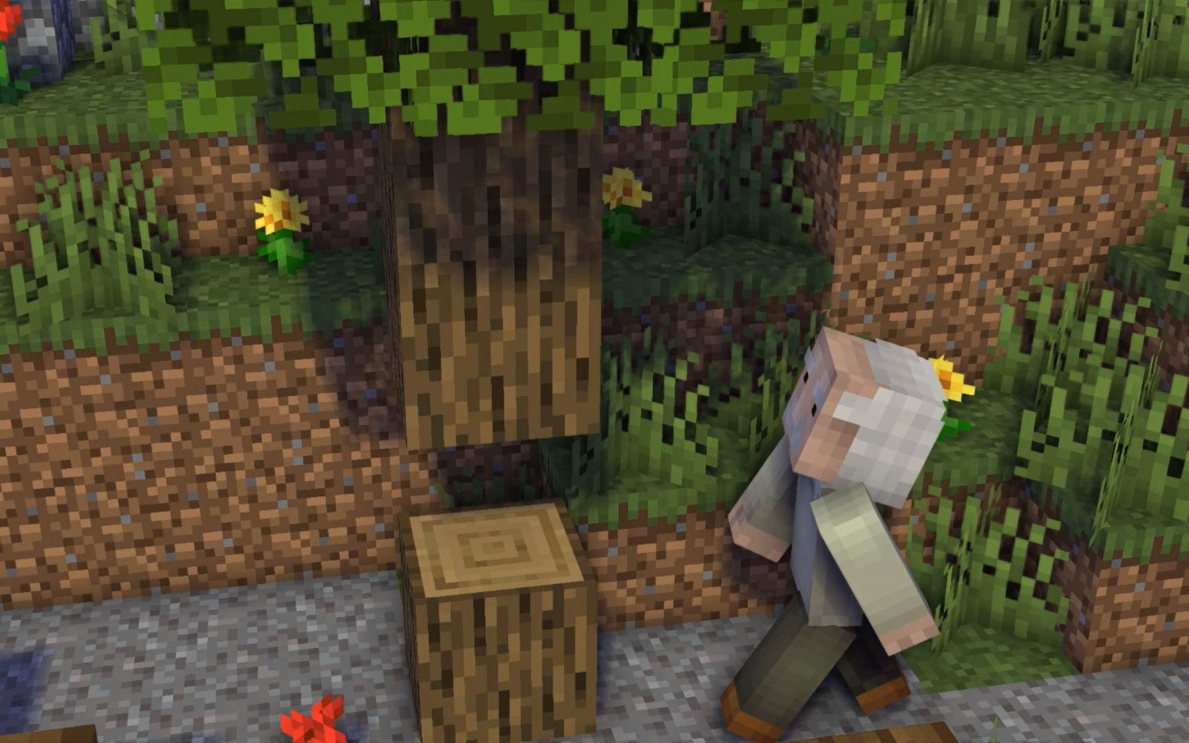 【MC动画/开放性结尾/英语作业】浮 空 的 树