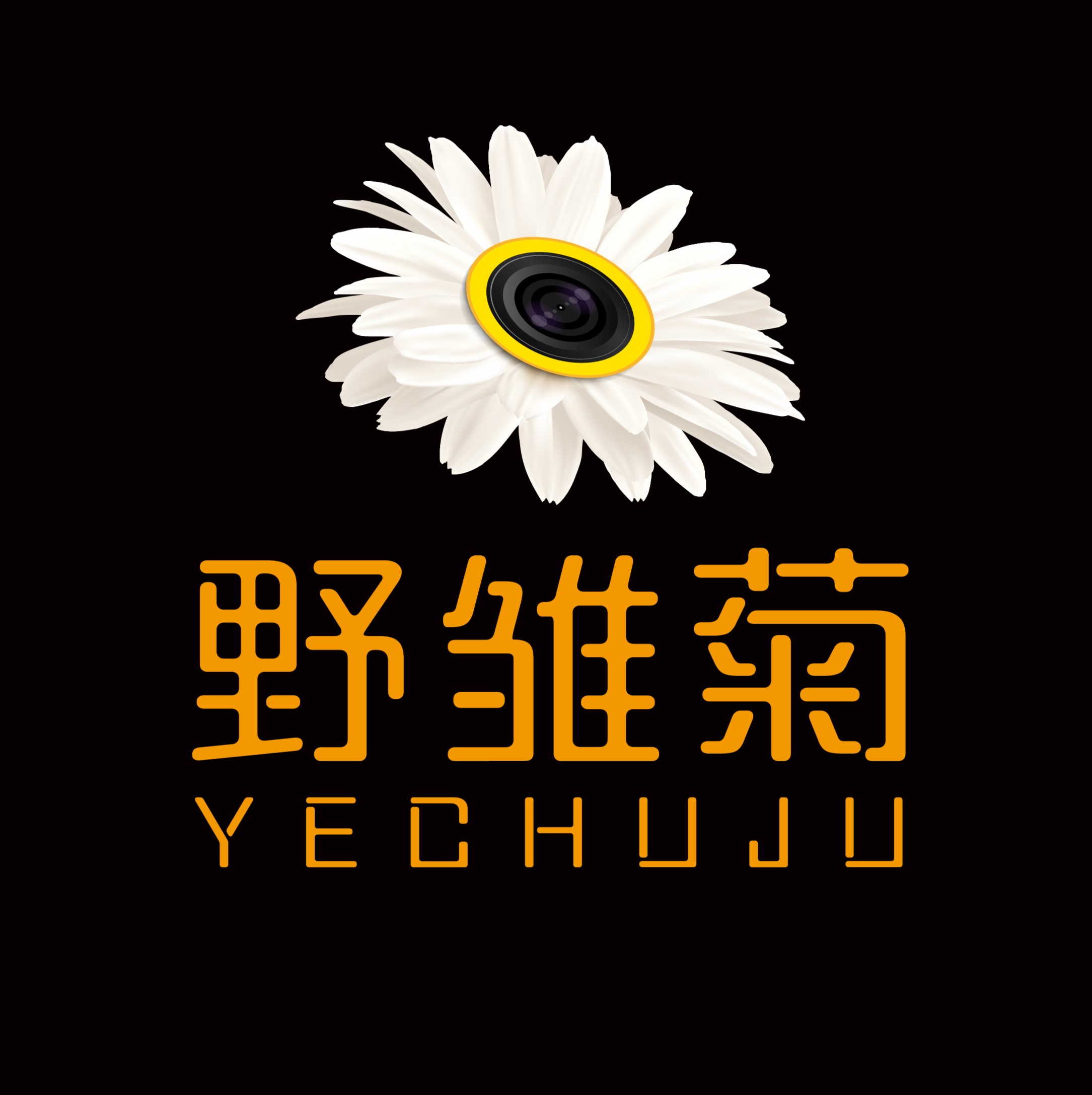 野雏菊Daisy 