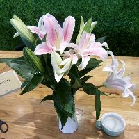 小茶姐姐聊电影 