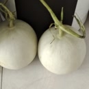 眉清目秀的伊文娜迪普 