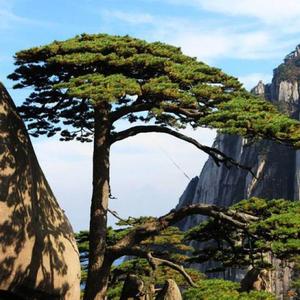 品味经典光亮人生 