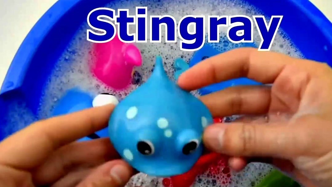 乐享动物乐园 第7季 第391集 带你认识扇形魟鱼与聪明海豚