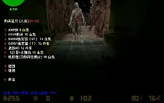2010年第一次玩CSOL生化模式单机版
