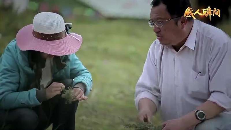教师节感人瞬间微视频|时代楷模篇:钟扬