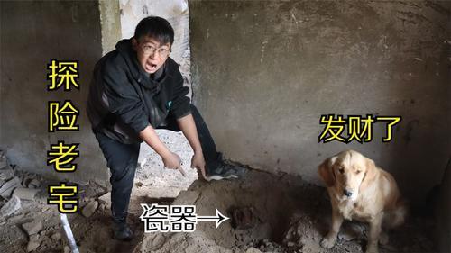 小伙探险百年老宅,金毛在土里发现一个古老的瓷器,能值几何钱?