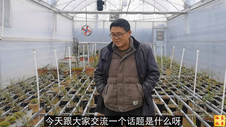 很多花友说兰花行业水很深,避开这3种兰花,能少走很多弯路