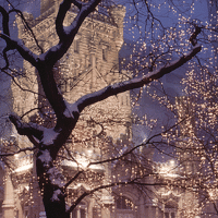 山西市场网社会 