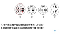 2月13号高三生物直播内容(细胞生命历程1细胞增殖)