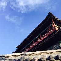 上进的哈哈啊哈哈 