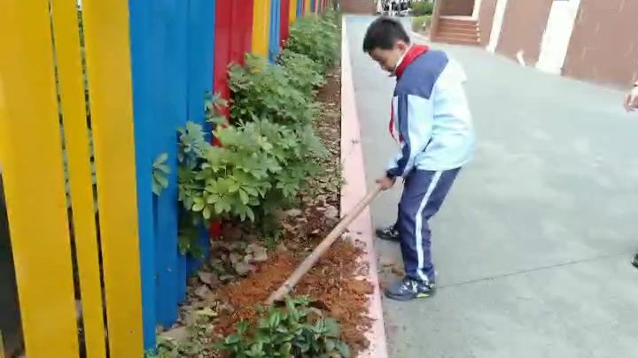 #记录校园生活 #植树