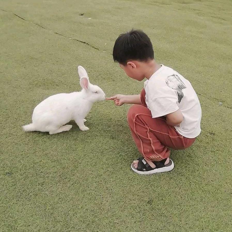 学姐的日常生活 