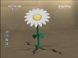 [动漫世界]《妙妙森林》 第28集 多多的雏菊 20131111