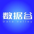 数据谷Data valley 
