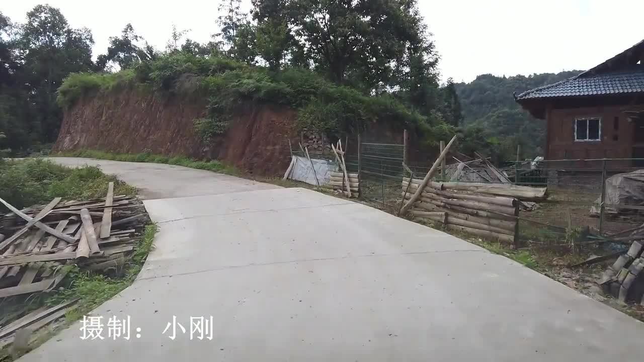 陡坡,急弯,开手动挡在这样的路确实要有一定的开车技术