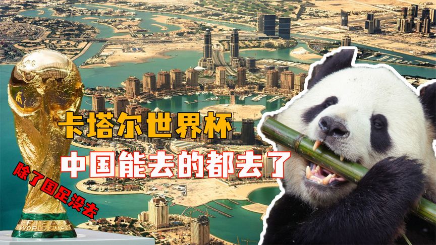 卡塔尔世界杯,中国除了中国队,其余能去的都去了