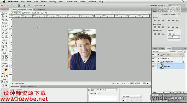 Adobe.Fireworks.CS6.基础教程 (24)