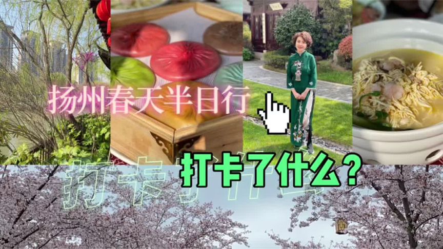 扬州春天的三个打卡项——吃扬州汤包,赏樱花雨,听扬州评话