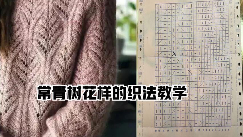 一步步教你棒针常青树花样的织法