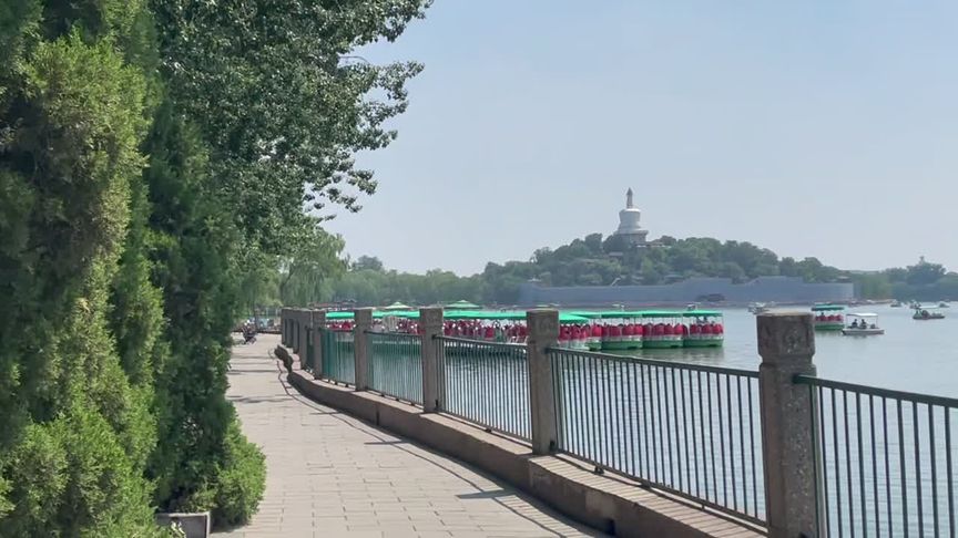 荷花映白塔#北海公园 #让我们荡起双桨