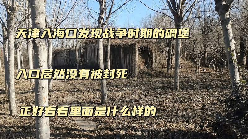 天津河边发现神秘碉堡,入口居然没有封死,正好看看里面是什么样