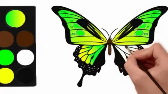 儿童简笔画:金粉大蝴蝶画画