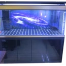 河北泗海鱼缸 
