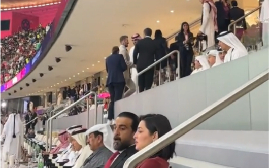 卡塔尔世界杯比赛现场的明星们