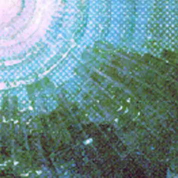 Memphy丨霥霏 