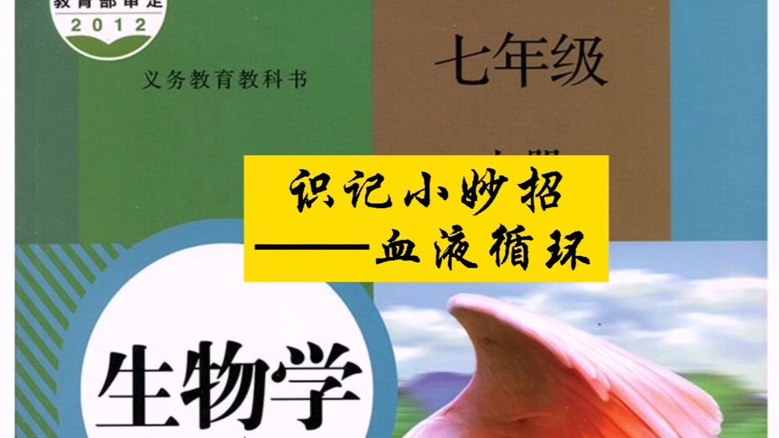 识记小妙招(血液循环)——初中生物实验探究视频