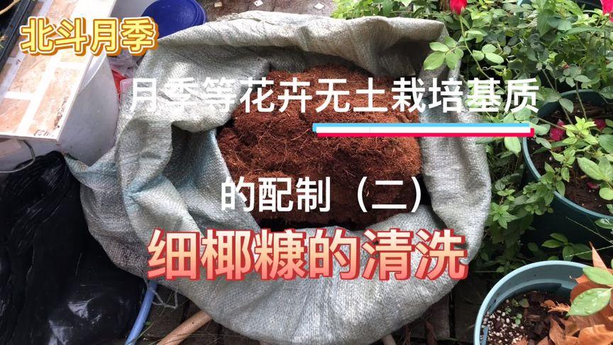月季等花卉无土栽培基质的配制(二)细椰糠的清洗