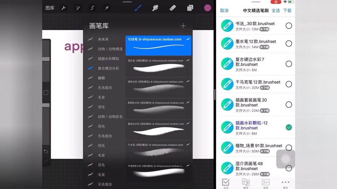Procreate专业笔刷批量导入导出ios工具,集合笔刷,色卡,字体,纸张