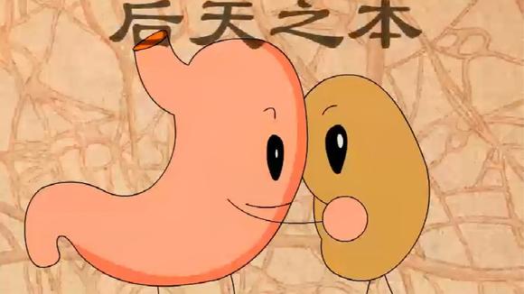 动画中医:【六腑,奇恒之府,脏腑之间的关系】课时5-3-3