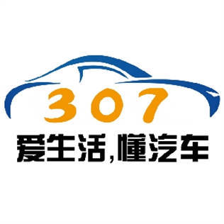 307树车市新风