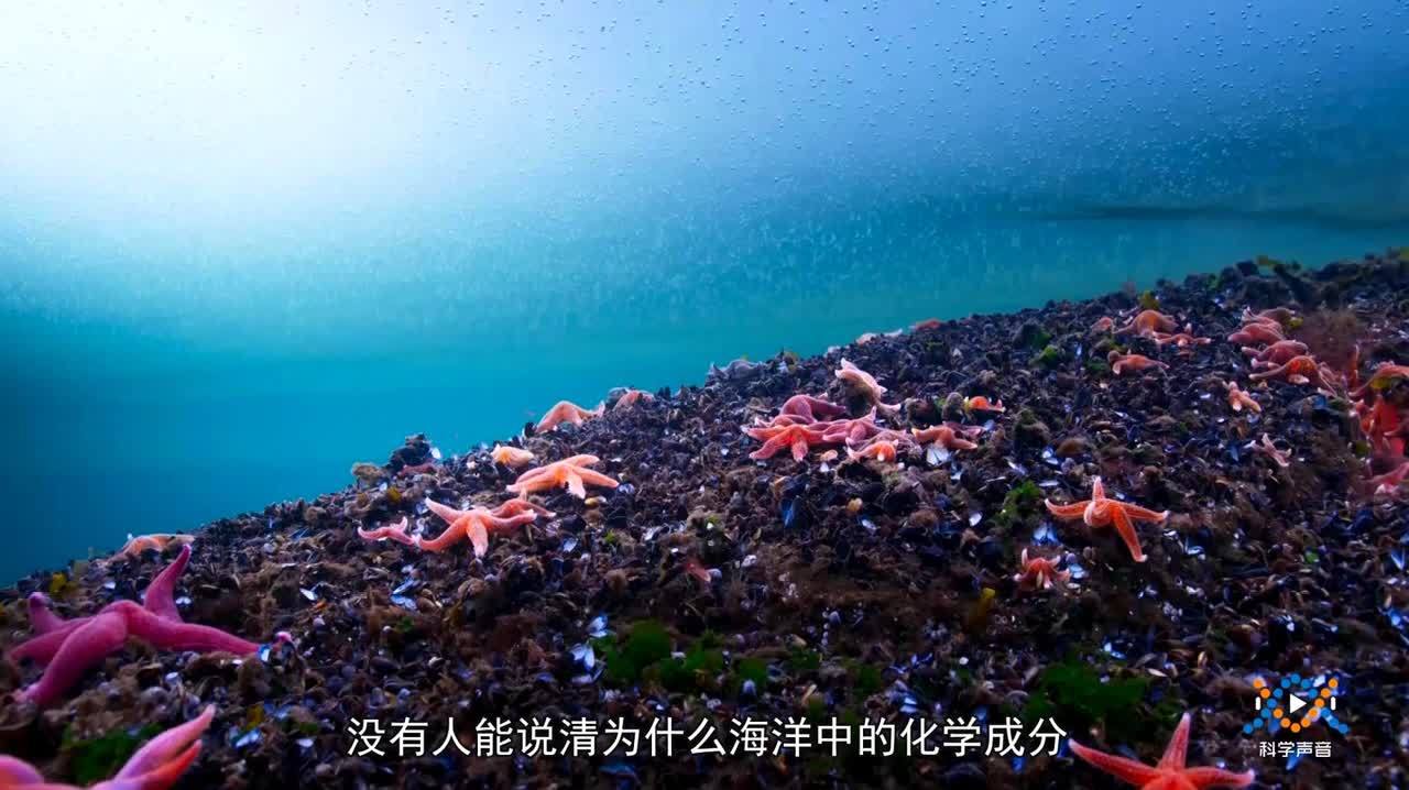 地球的"生命史"与"岩石历史",存在某种联系,例如寒武纪……