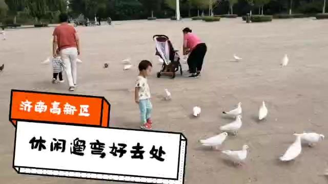 打卡齐鲁软件园。上班时间偷偷懒,竟然发现一处休闲遛弯的好去处