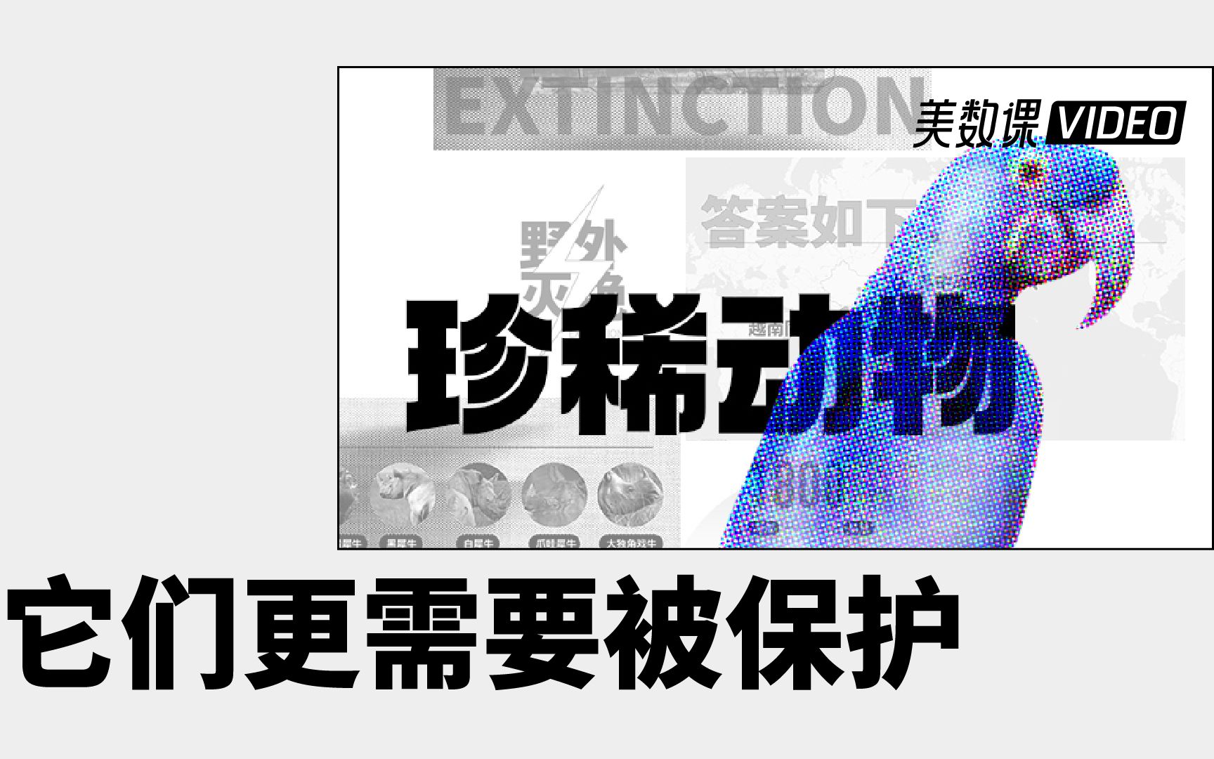 珍稀动物保护日|灭绝边缘的它们更需要被保护