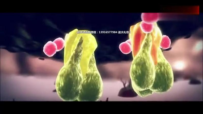 感冒3D动画模拟