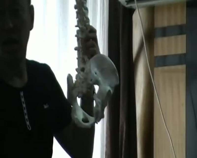 张福忠运动正骨骨盆手法操作视频7