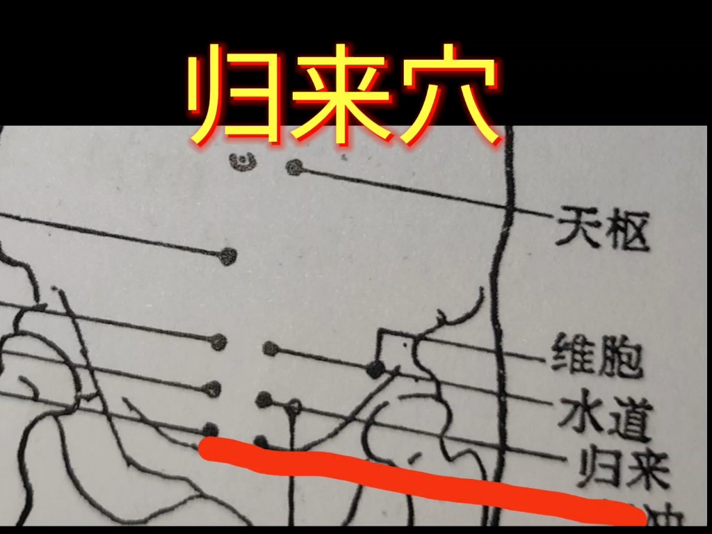 归来穴 功效作用 针法