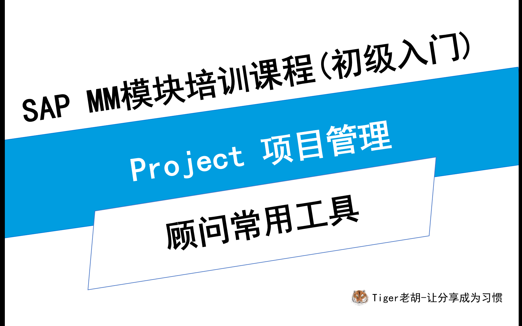 SAP 顾问常用工具 - Project 项目管理