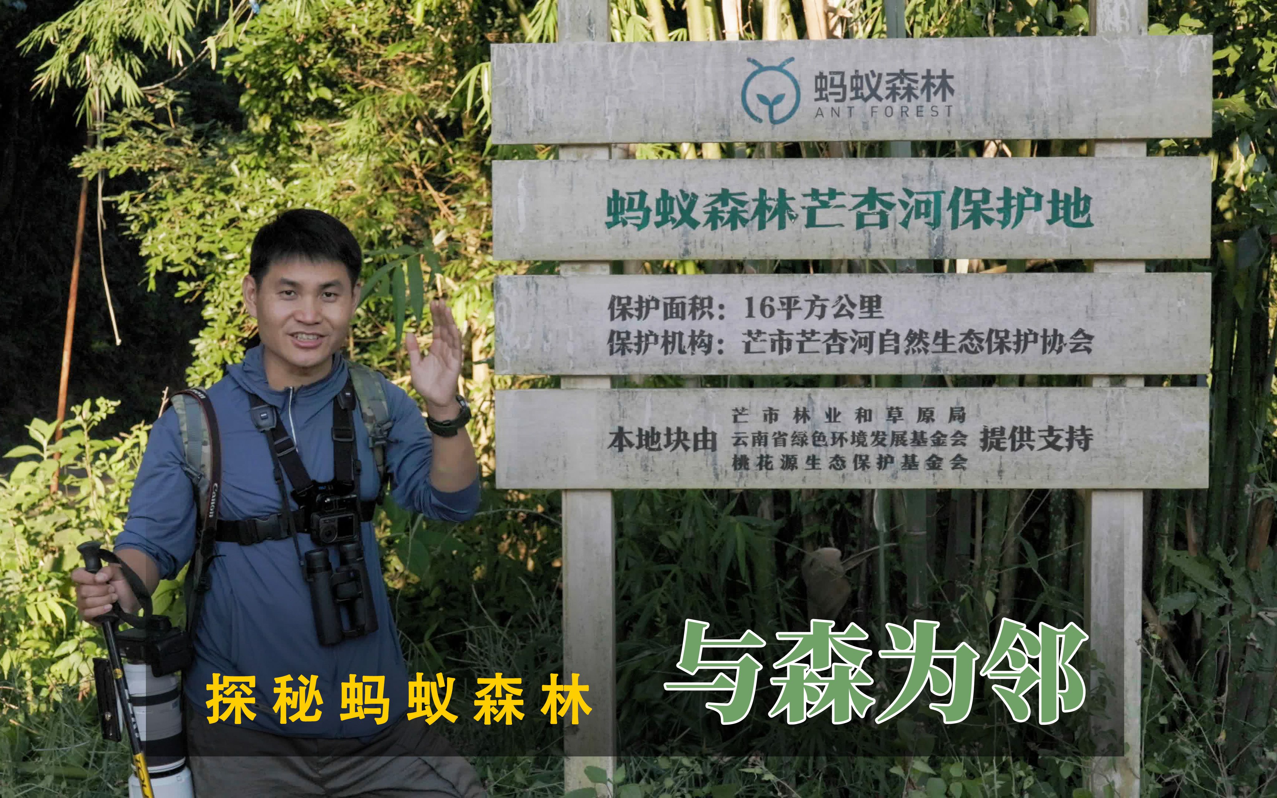 探秘一片蚂蚁森林,你是不是认领过这里?