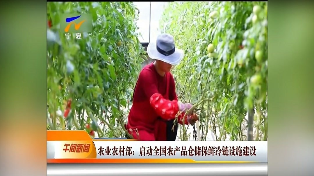 农业农村部: 启动全国农产品仓储保鲜冷链设施建设