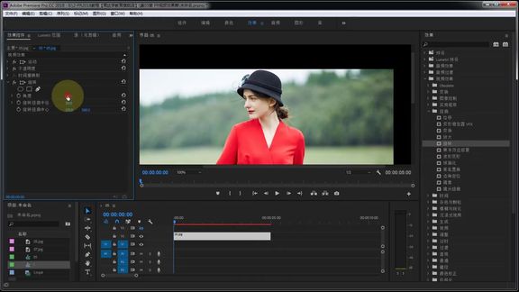PR视频剪辑软件教程62