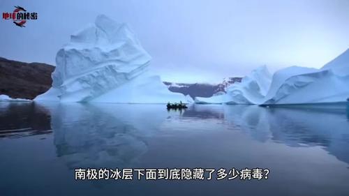 南极的冰层下面有几何古老病毒?#上热门
