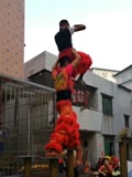 传统文化舞狮!为这些小伙子们点赞!台上一分钟,台下十年功!